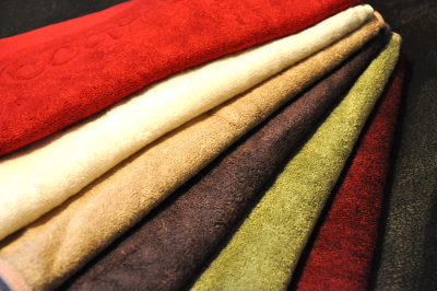 Alpinia mutica (False Cardomom Ginger) | Bamboo Land Nursery QLD Australia