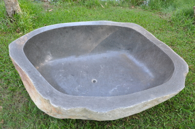 Alpinia mutica (False Cardomom Ginger) | Bamboo Land Nursery QLD Australia